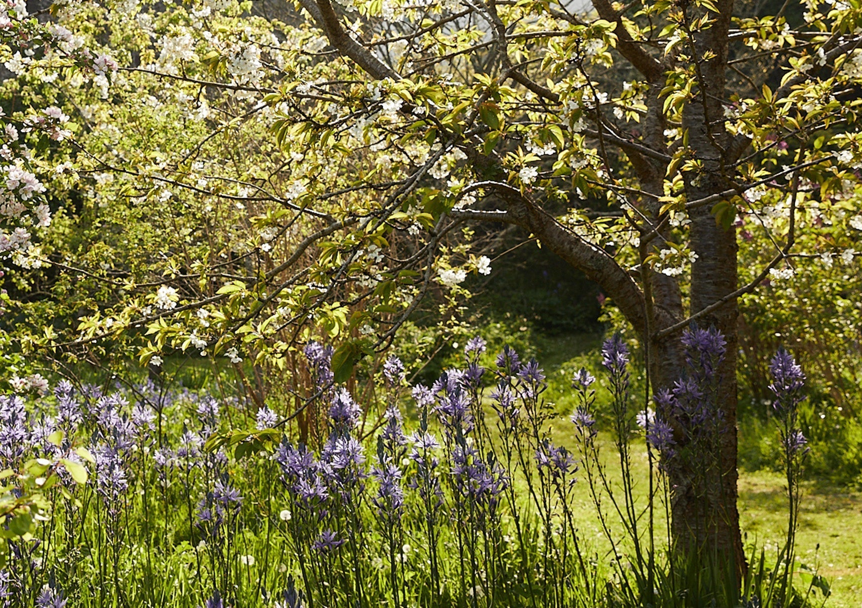 An Ode to Spring – House of Hackney